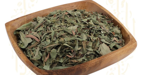 سدر ورق 250 جرام